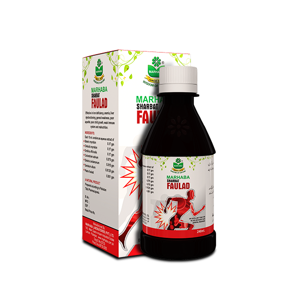 MARHABA SHARBAT FAULAD (240 ML) – Marhaba
